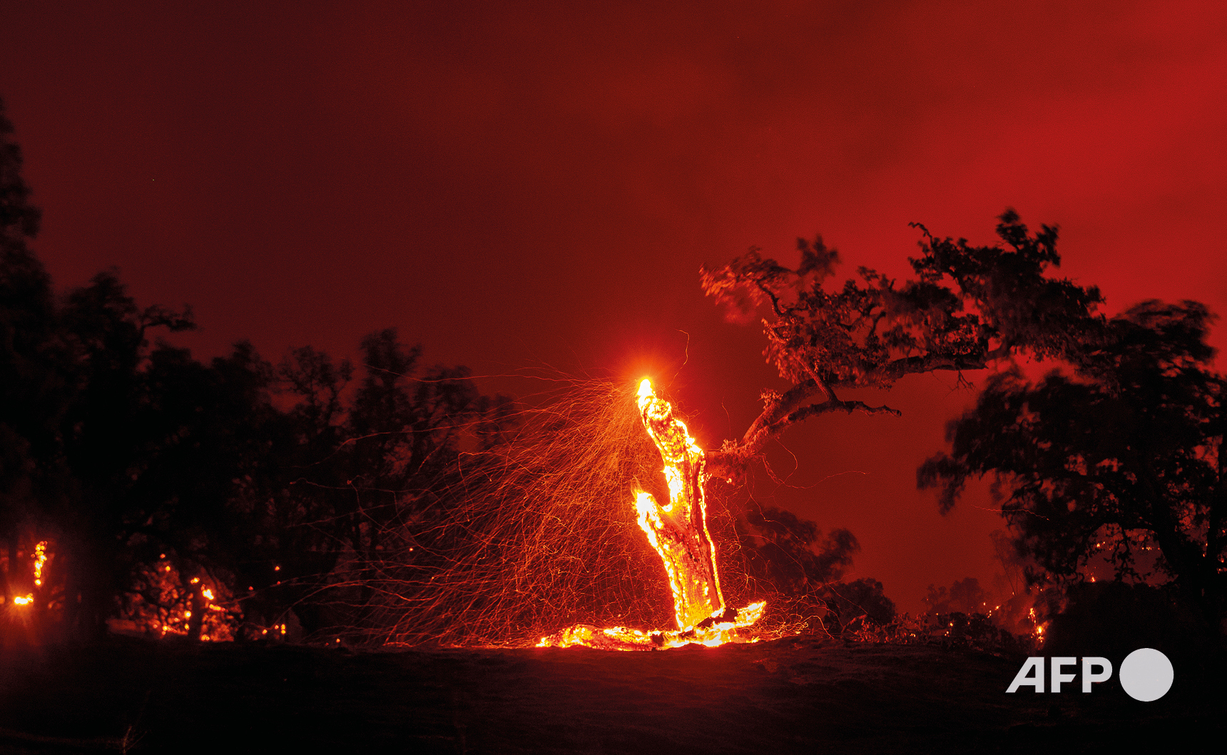 AFP 5 | Josh EDELSON - Regard des jeunes de 15 ans